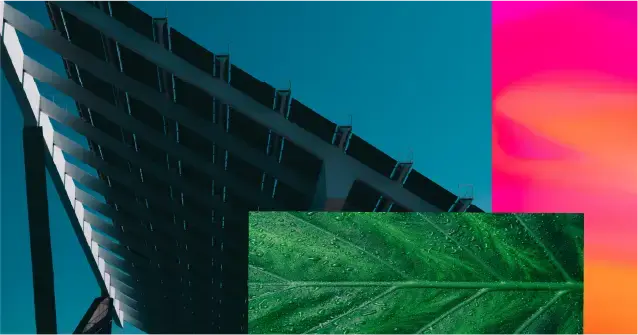 Conscience and Commercials